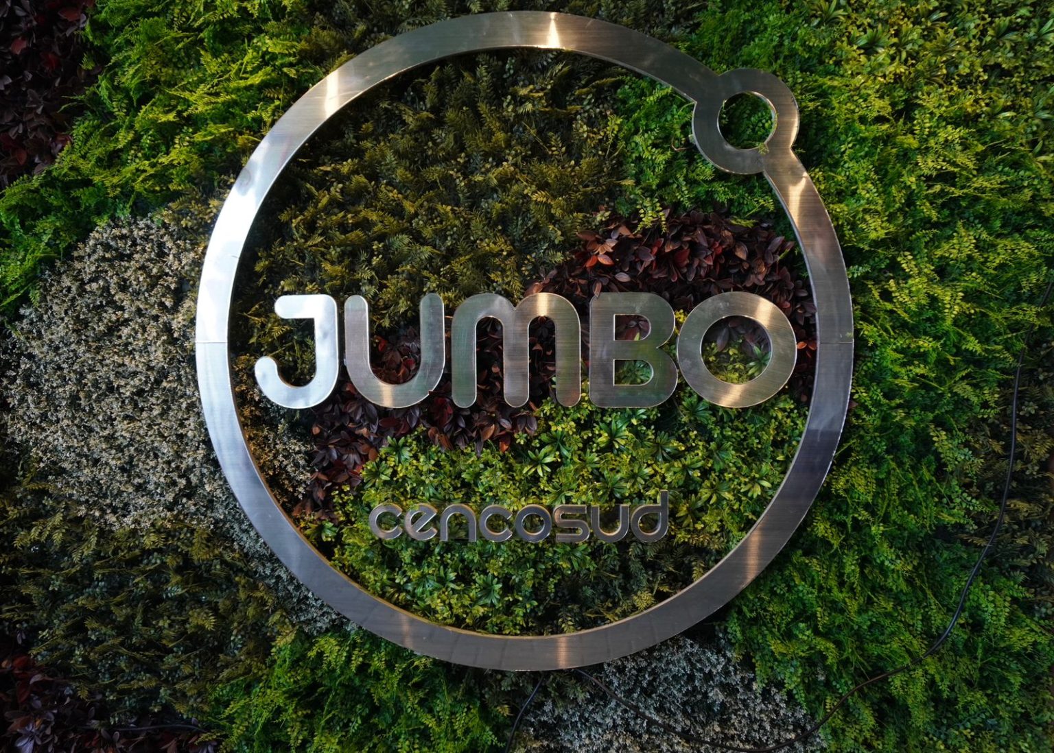 Con una inversión de USD 5 millones, Jumbo abre sus puertas en Puertos ...